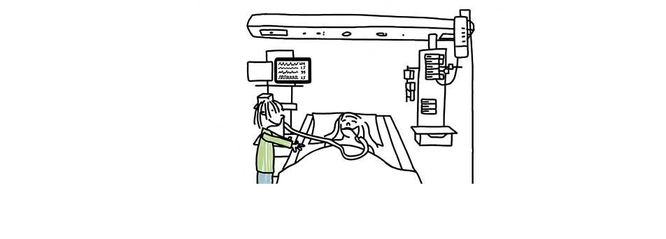 Voor kinderen | IC Connect